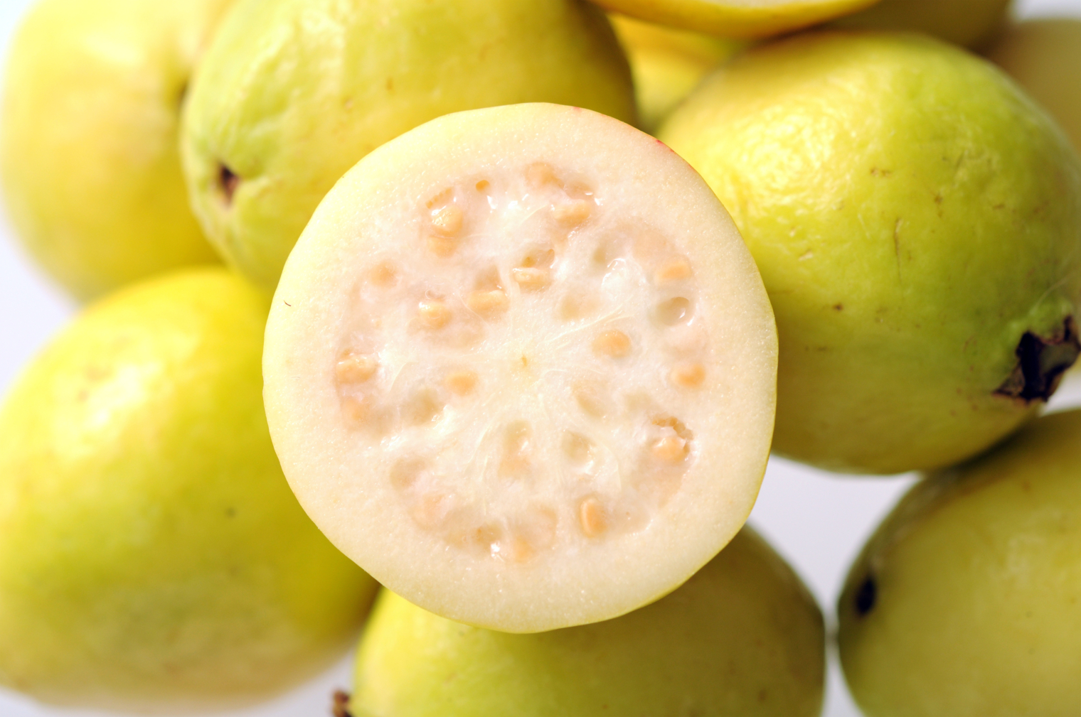 What Is a Guava? Discover Mexico’s Sweet Treasure – Premium Guava